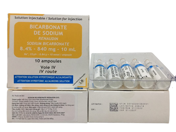 Sodium Bicarbonate 8.4% Laboratoire Renaudin (h/10o/10ml)